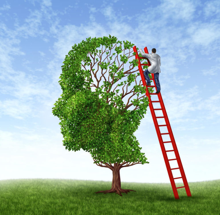 The Bredesen Protocol Approach To Alzheimer S Prevention